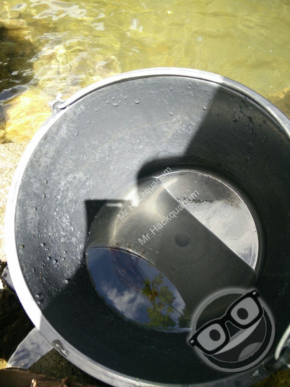 peche – Mr Hackquarium