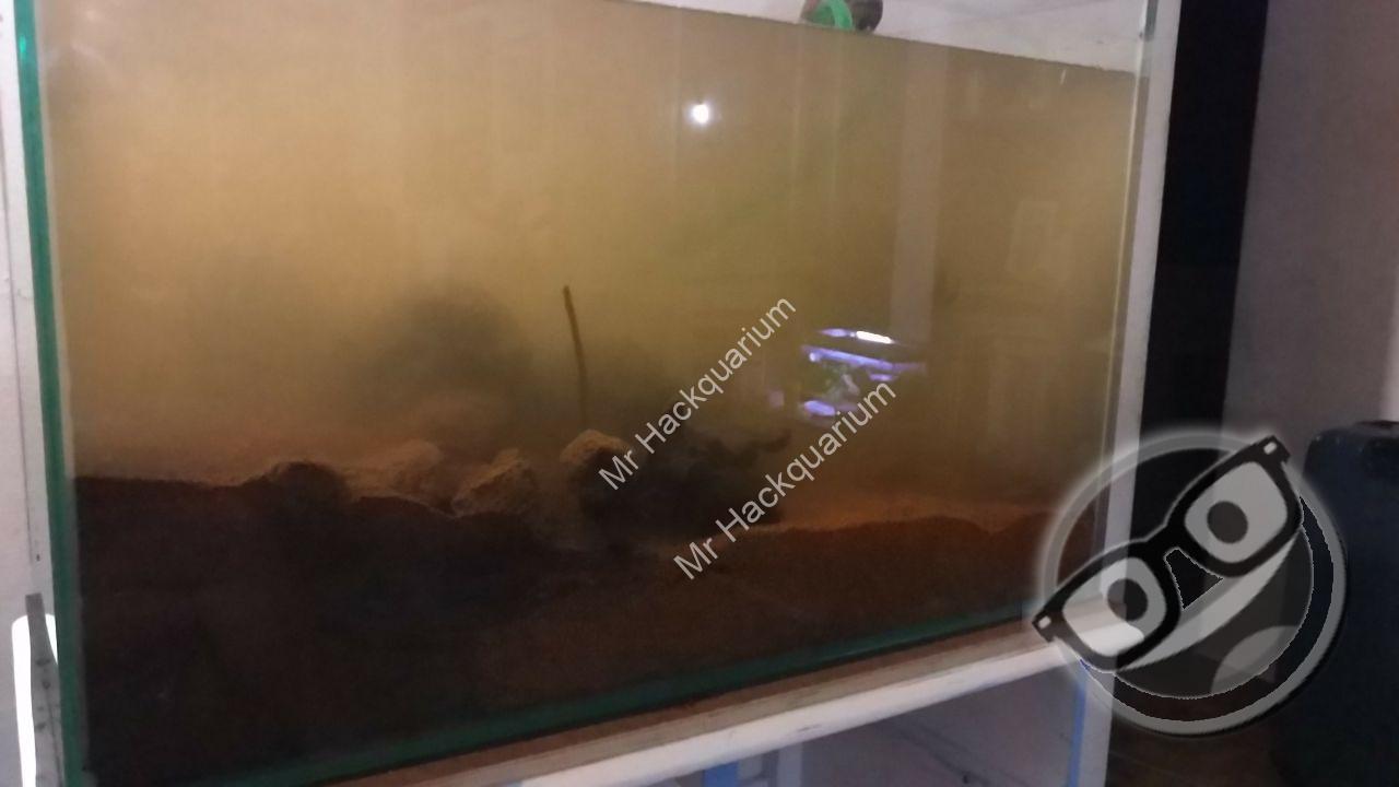 cuve_j0_ – Mr Hackquarium