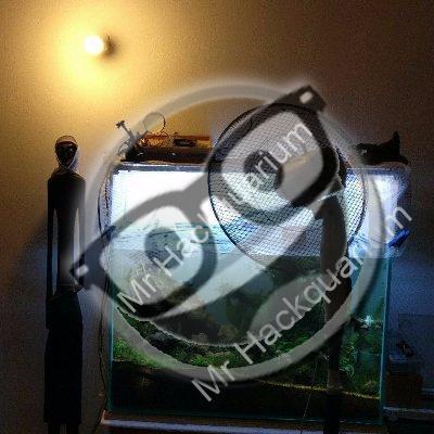 hackquarium – Mr Hackquarium