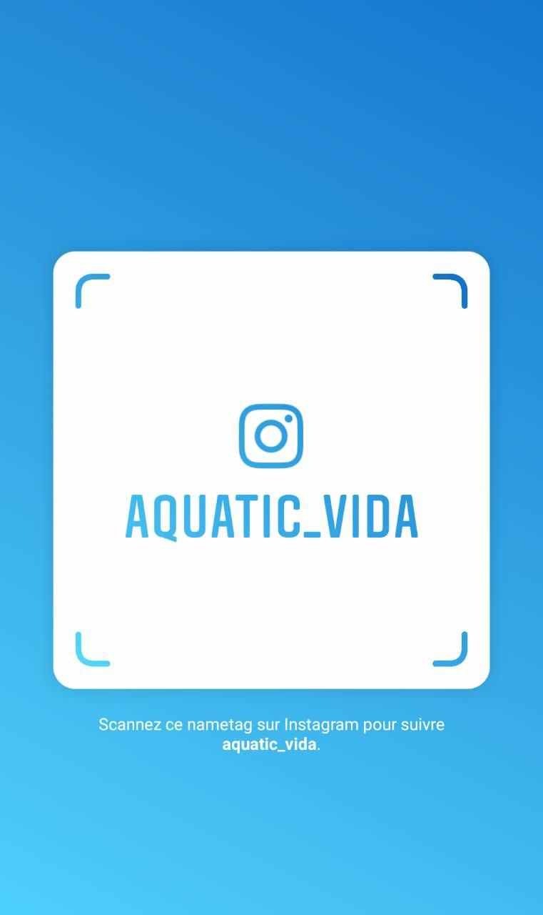 photo_2020-04-02_10-08-33 – Mr Hackquarium