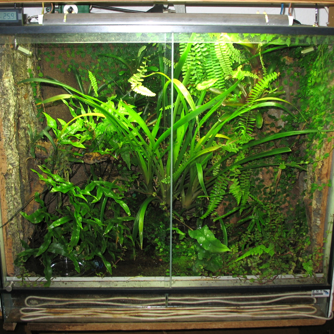 terrarium – Mr Hackquarium
